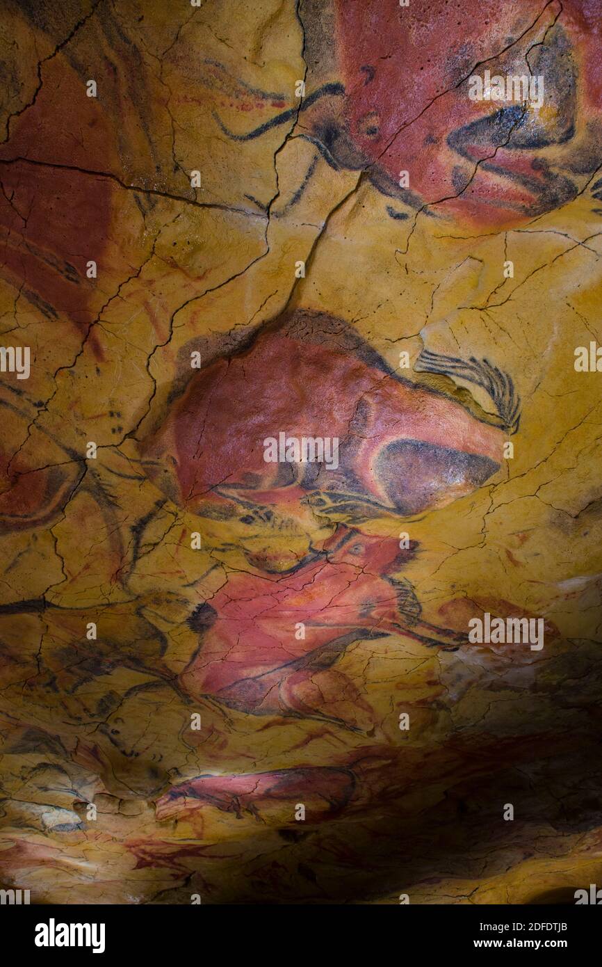 Paleolithic rock art, Polychrome room, Neocueva de Altamira, Santillana ...