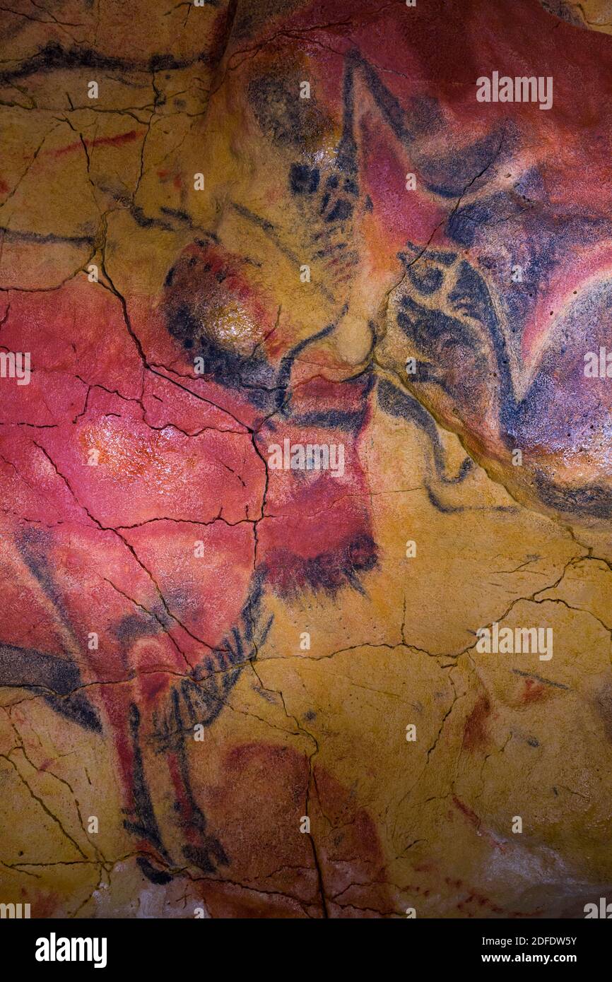 Paleolithic rock art, Polychrome room, Neocueva de Altamira, Santillana ...