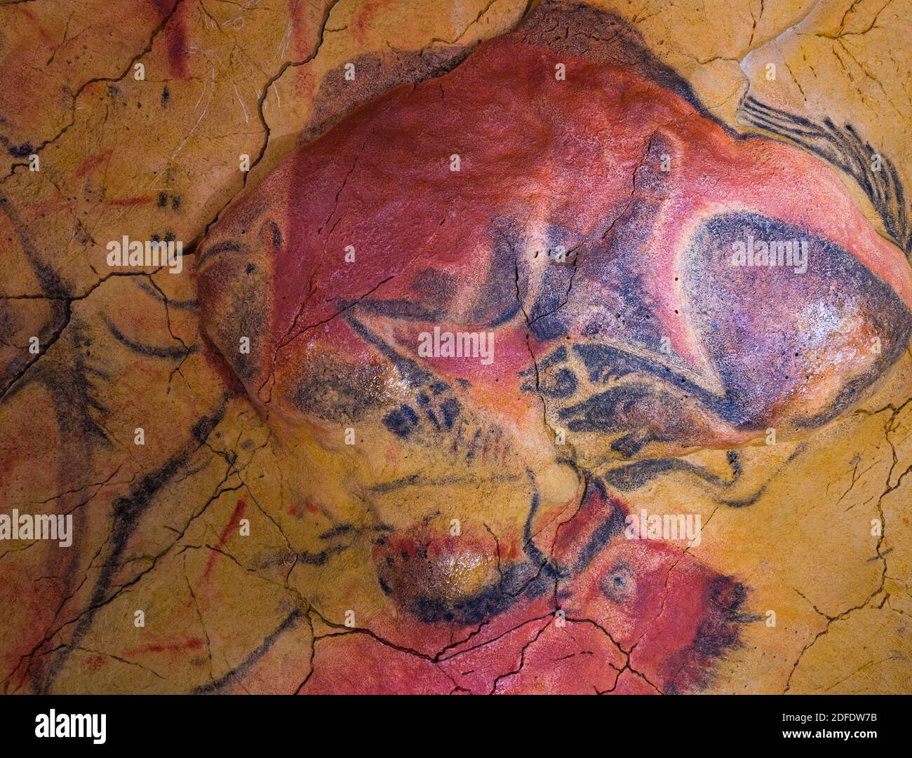 Paleolithic rock art, Polychrome room, Neocueva de Altamira, Santillana ...