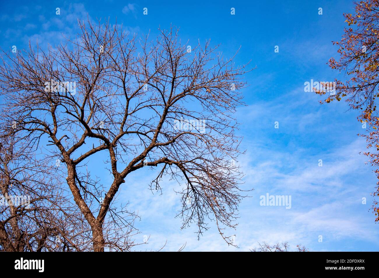 Without a cloud in the sky hi-res stock photography and images - Alamy