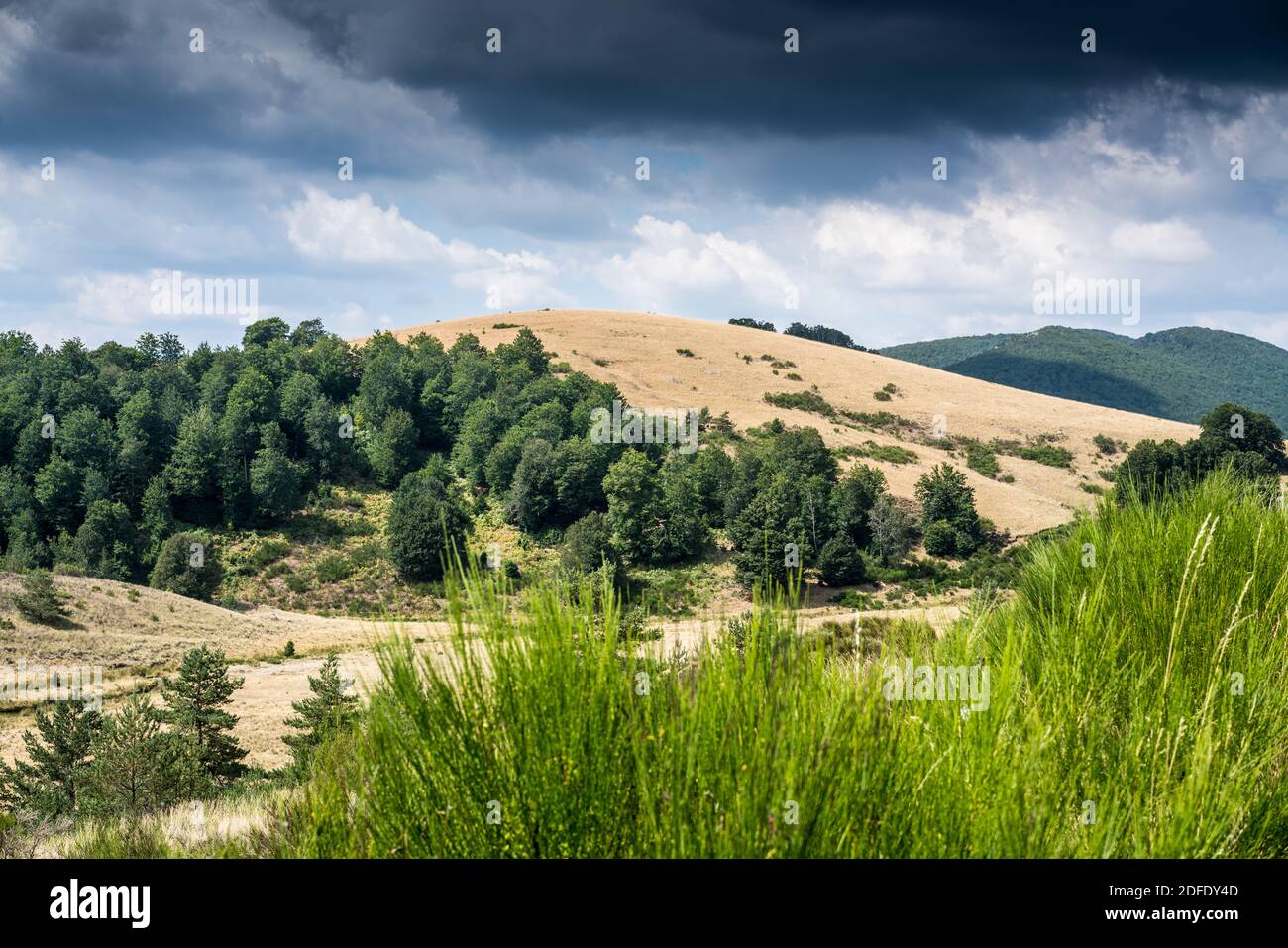 Cevennes national park hi-res stock photography and images - Alamy