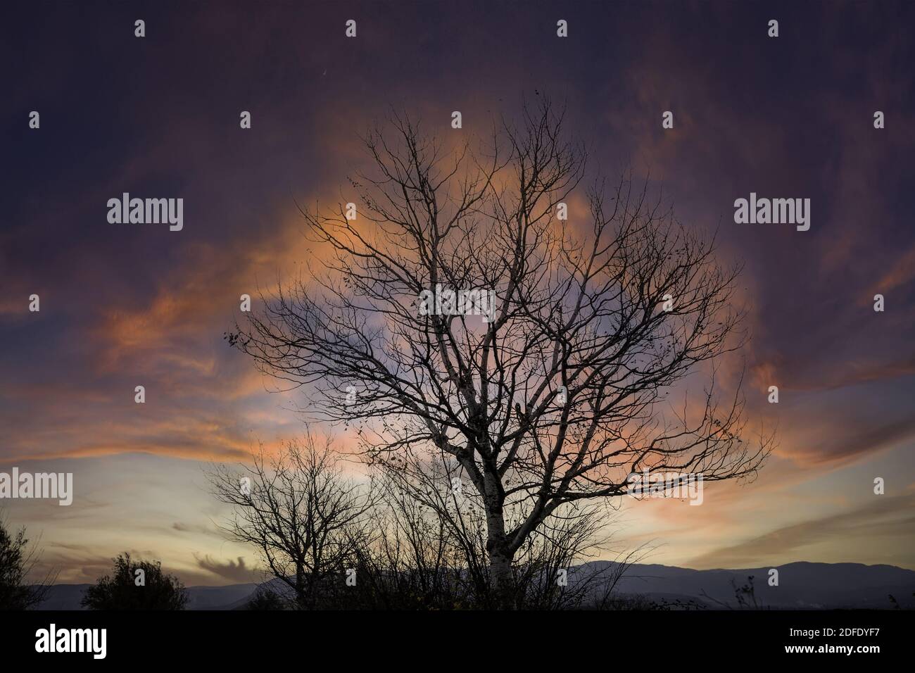 Tetrico hi-res stock photography and images - Alamy