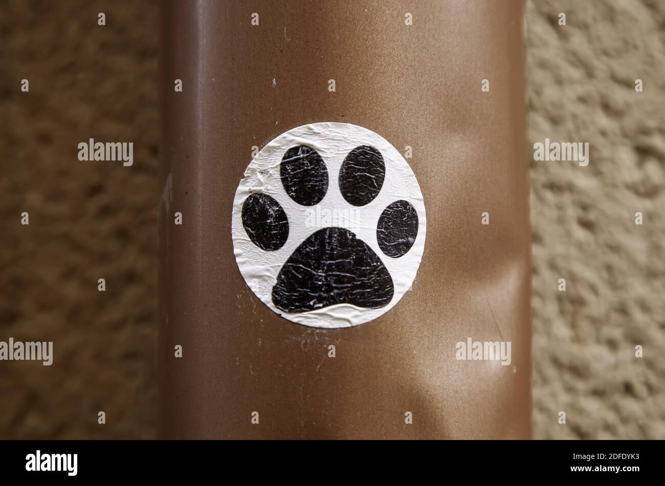 Domestic animal sign detail, animal protection and care Stock Photo - Alamy