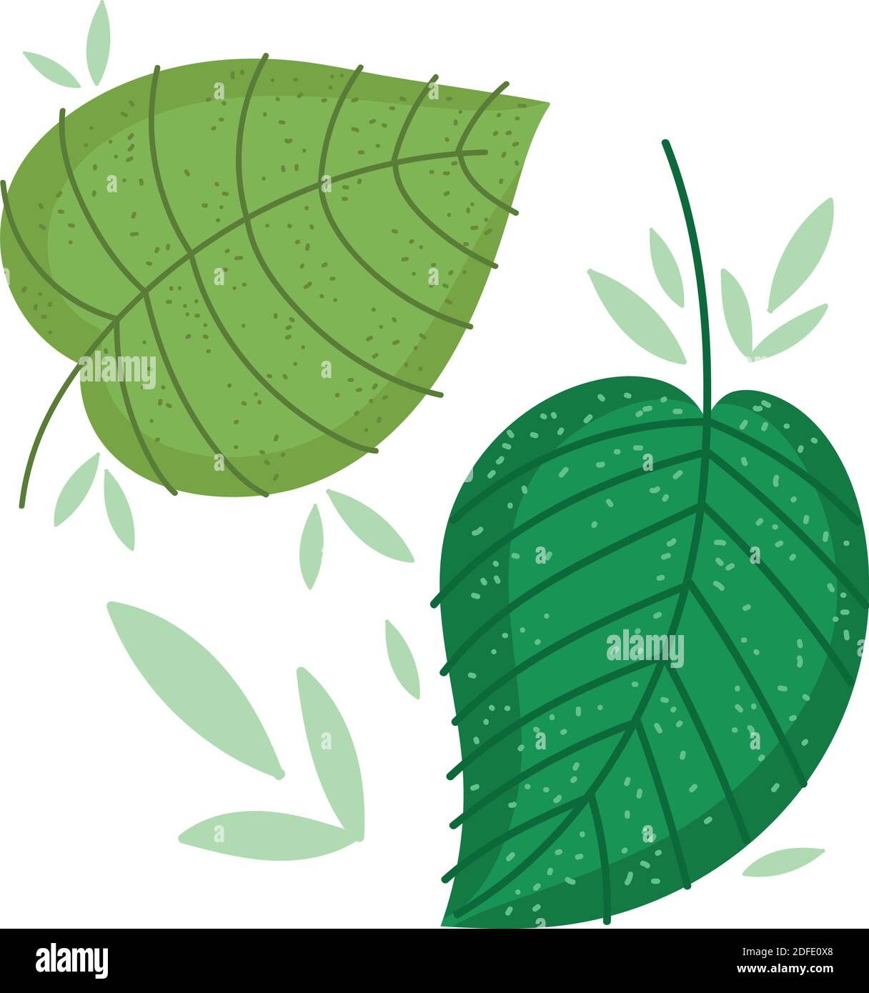 leaves nature foliage botanical cartoon design vector illustration ...