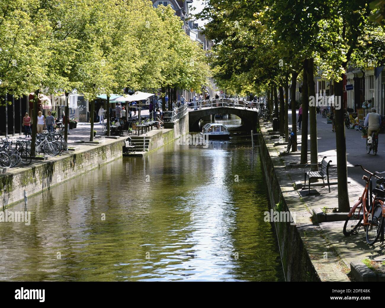 Delft canal bridge tree hi-res stock photography and images - Alamy