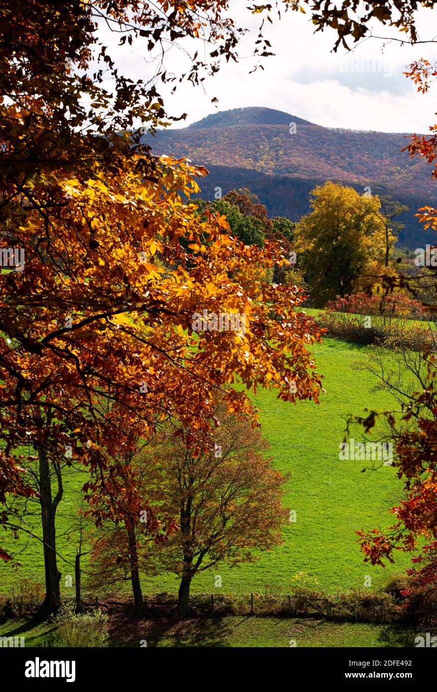 Fall colors in the Appalachian mountains with a beautiful sky Stock ...
