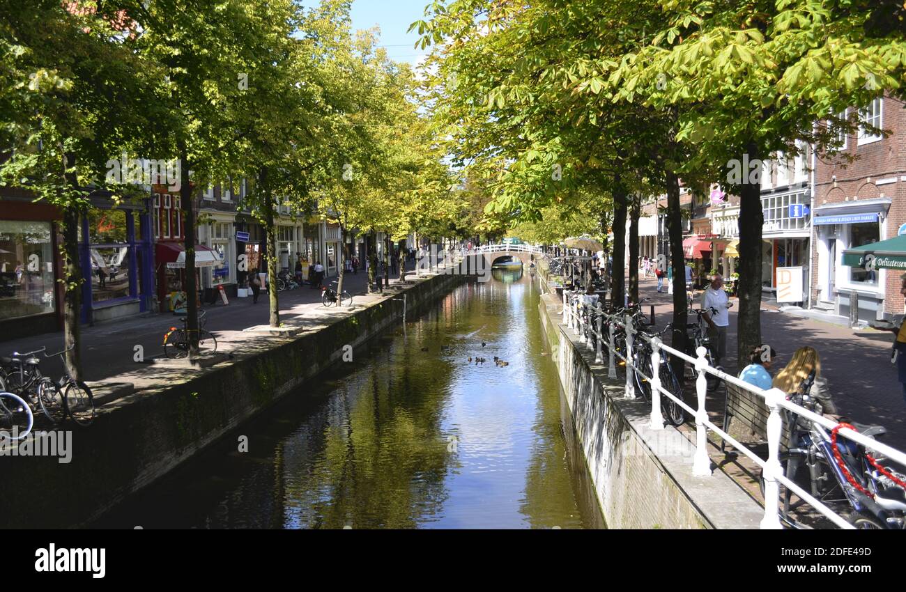 Delft canal bridge tree hi-res stock photography and images - Alamy