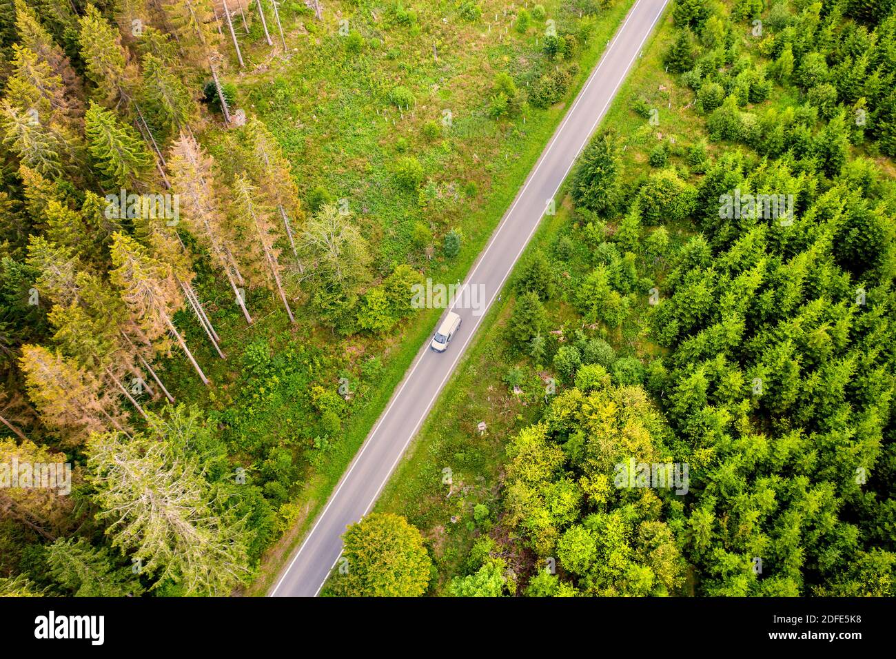 a white van from above on an forest street Stock Photo - Alamy