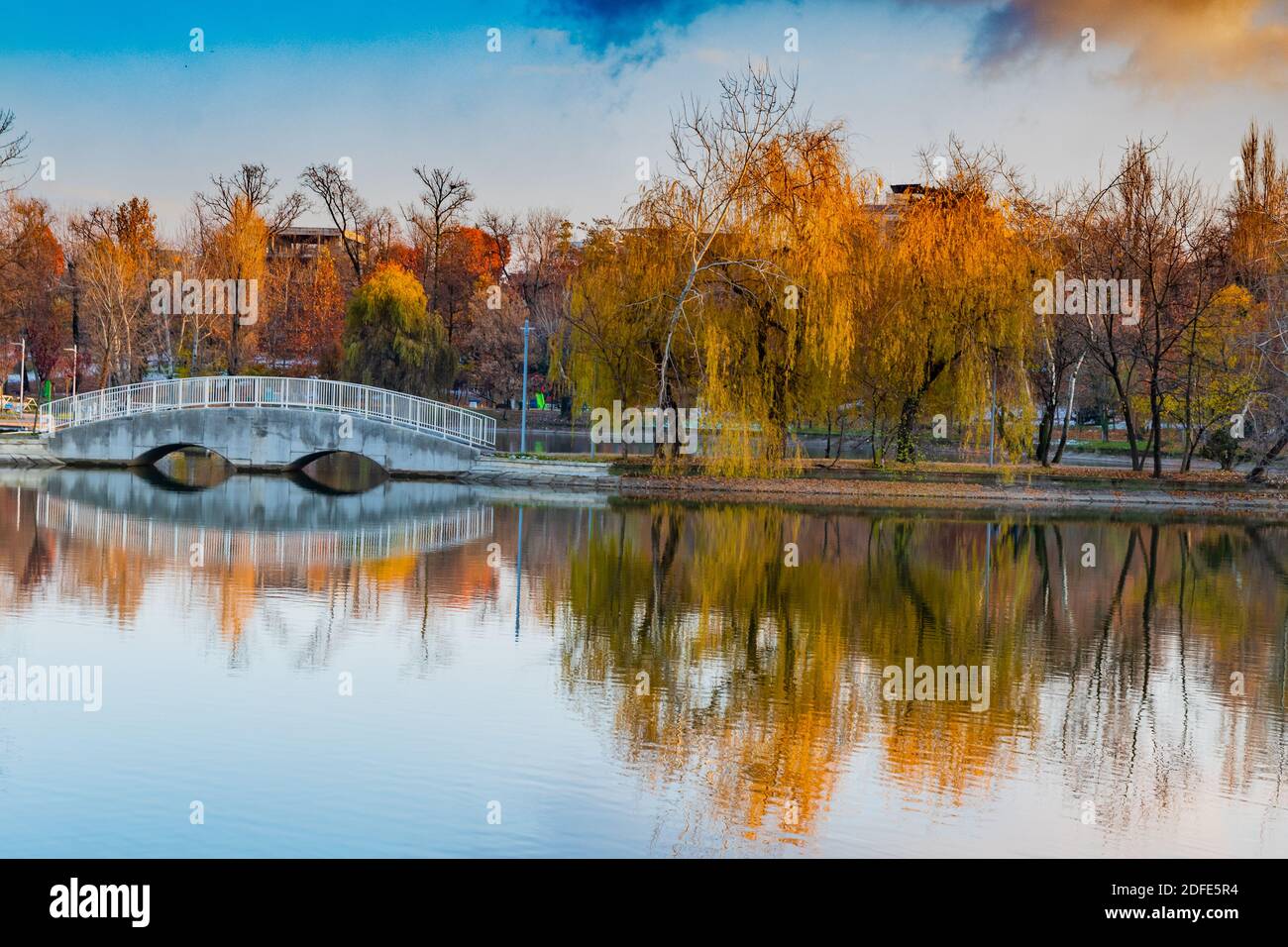 Autumn landscape in Bordei Park in Bucharest Stock Photo - Alamy