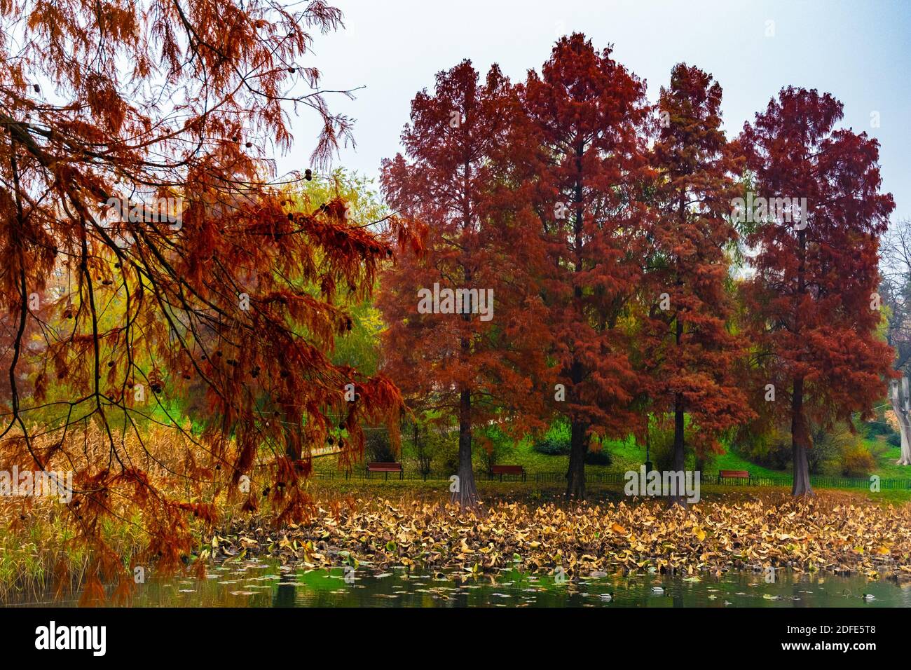 Bucharest circus hi-res stock photography and images - Alamy