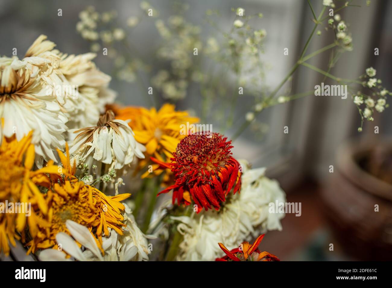 withered flowers in a glass vase. Beautiful flower Stock Photo - Alamy