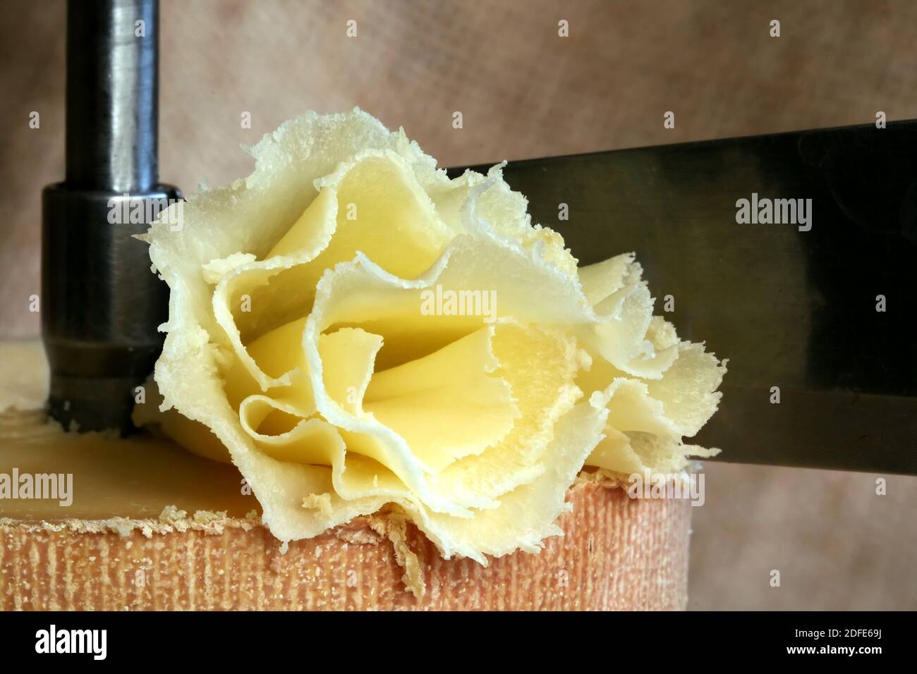 Rosette Closeup of Swiss Cheese Tête de Moine Stock Photo - Alamy