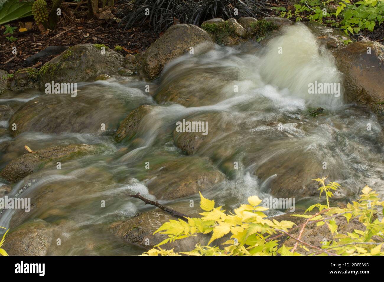 Intimate landscape of rocky stream bed with shallow flowing water Stock ...