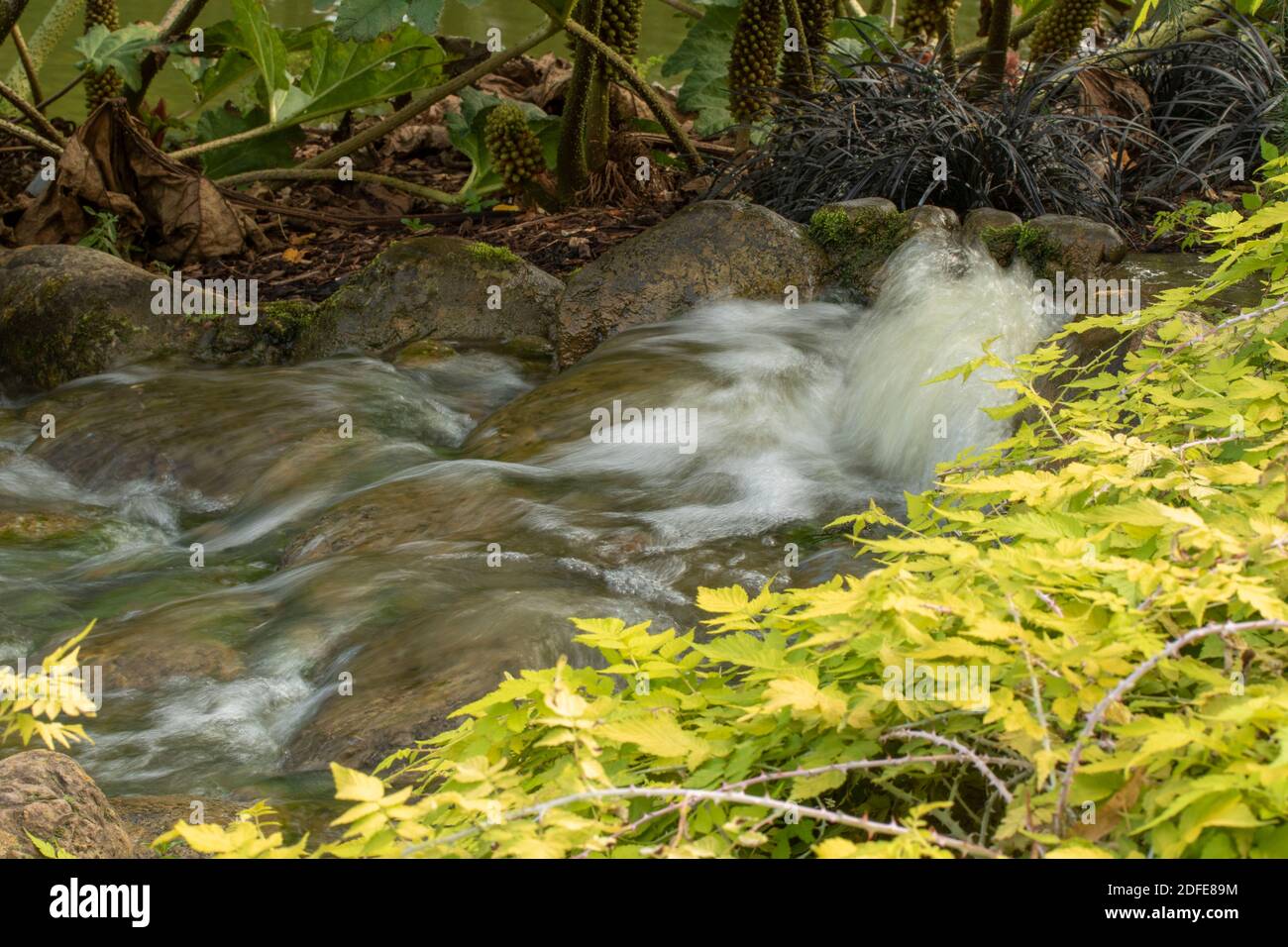 Intimate landscape of rocky stream bed with shallow flowing water Stock ...