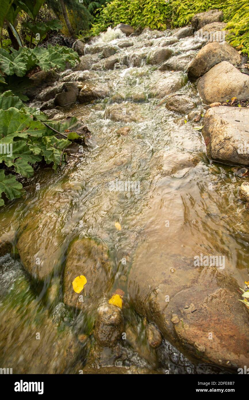 Intimate landscape of rocky stream bed with shallow flowing water Stock ...