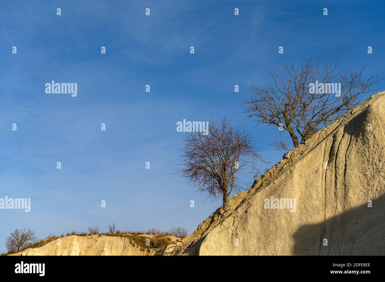 Limestone cliff with trees on the top at limestone quarry Stock Photo ...