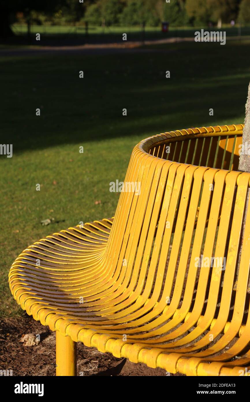 Metal bench around a tree hi-res stock photography and images - Alamy