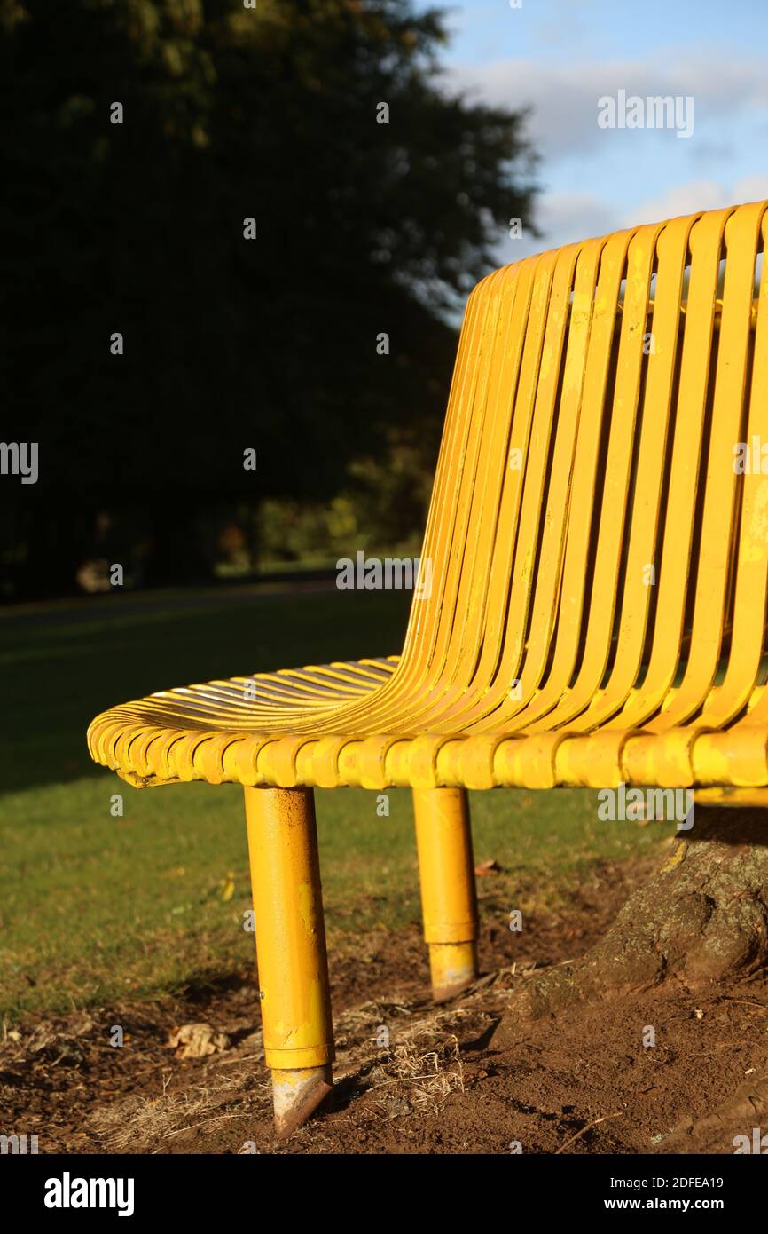 Metal bench around a tree hi-res stock photography and images - Alamy
