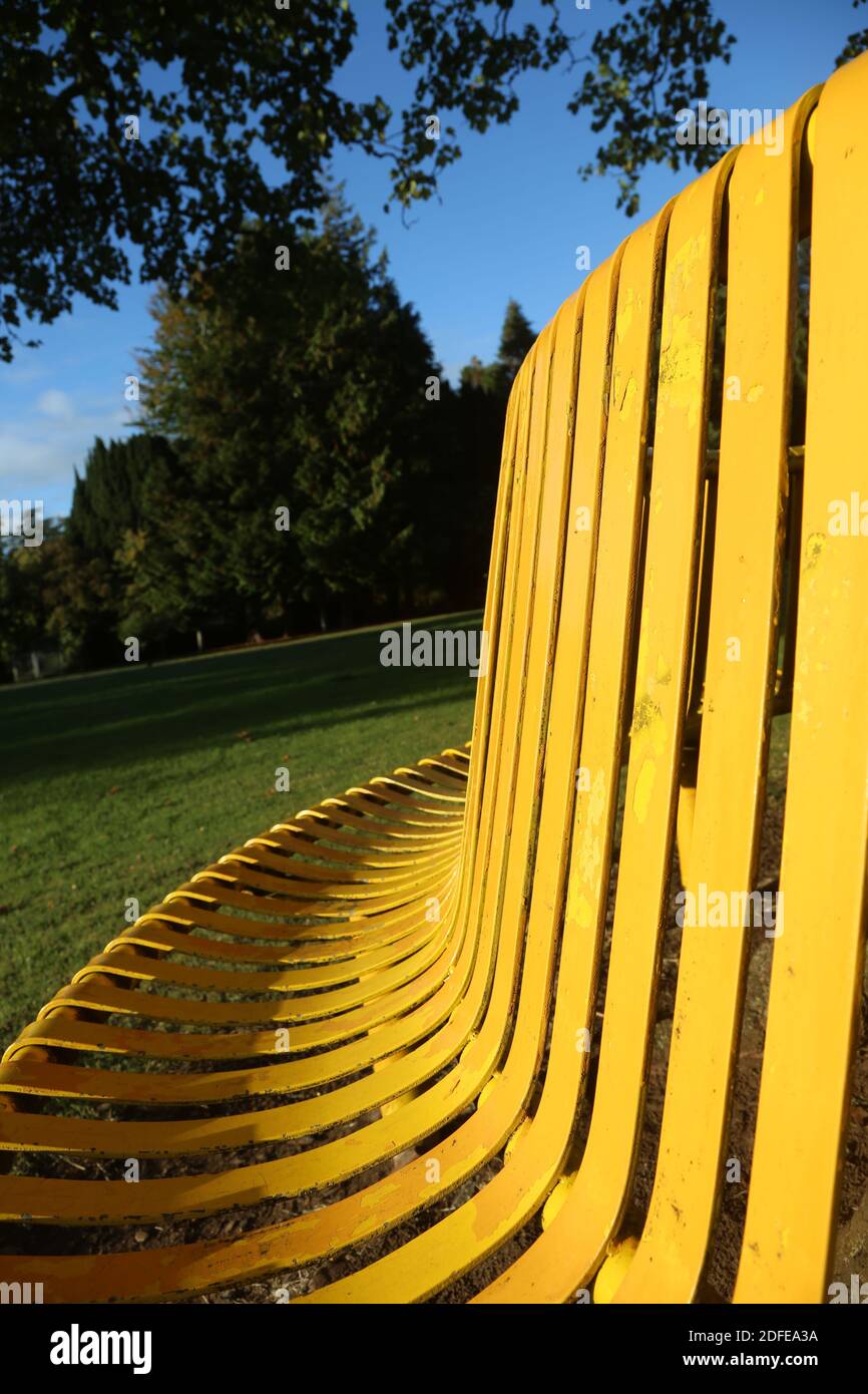 Metal bench around a tree hi-res stock photography and images - Alamy