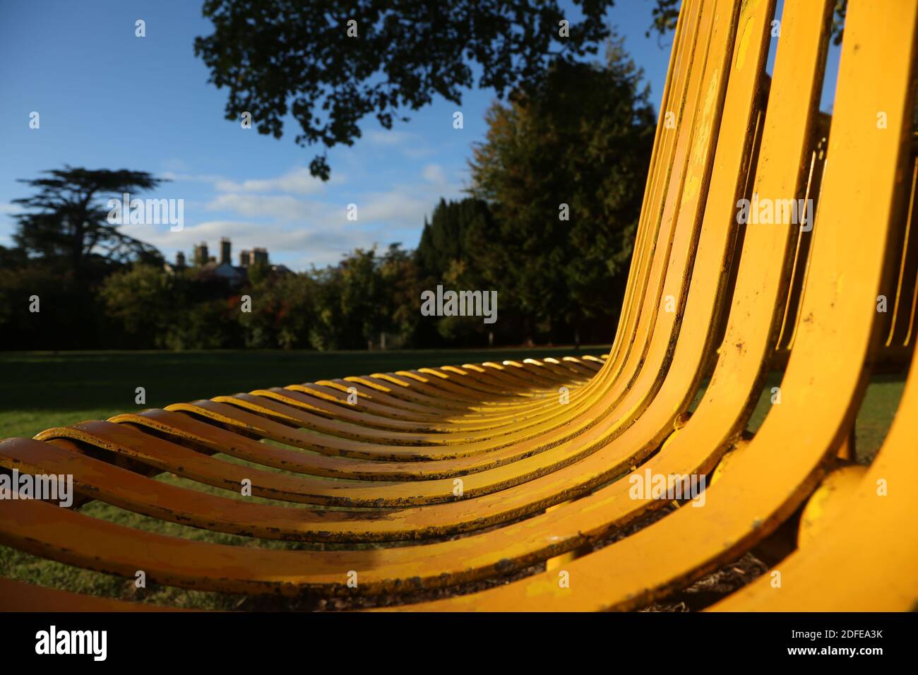 Metal bench around a tree hi-res stock photography and images - Alamy