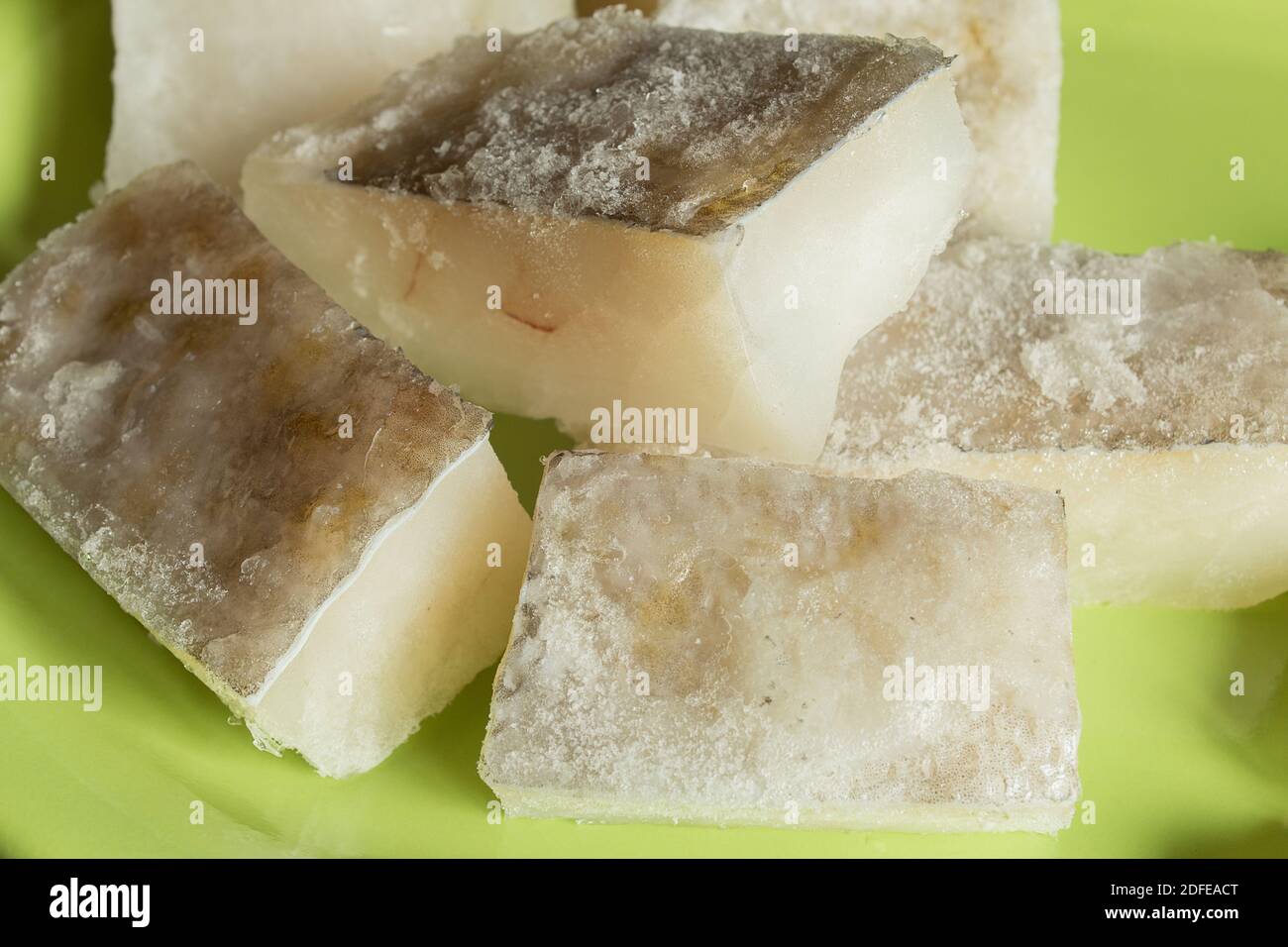 Close-up of the texture of some thawed cod fillets on a green ceramic ...