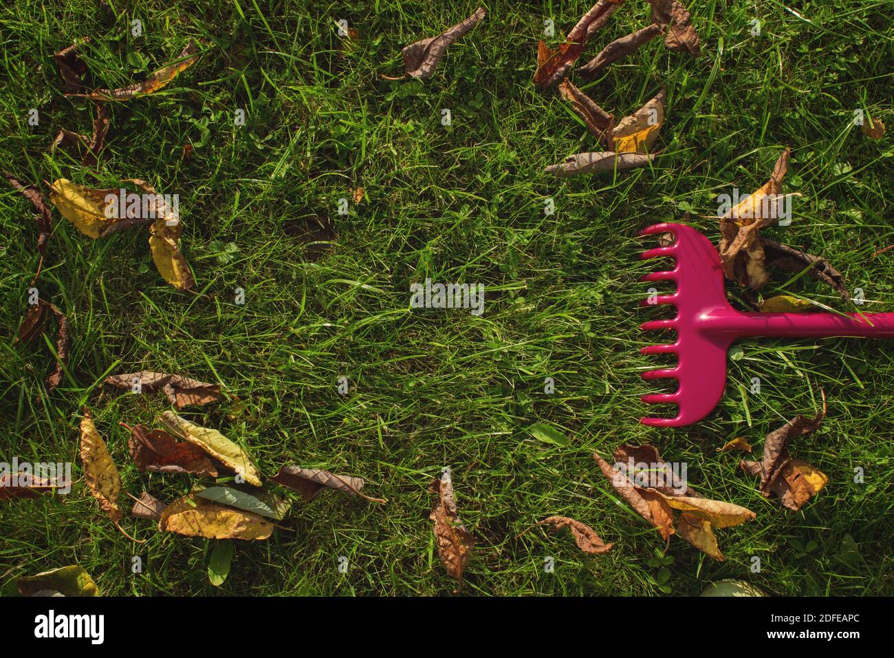 Outdoor yard cleaning tools hi-res stock photography and images - Alamy