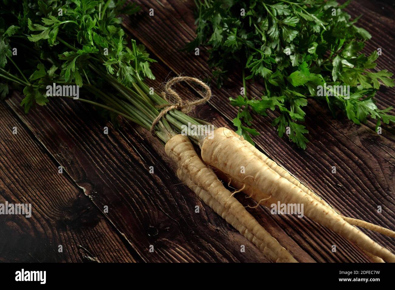 Bunch of parsley roots with green leaves on dark wooden rustic board ...
