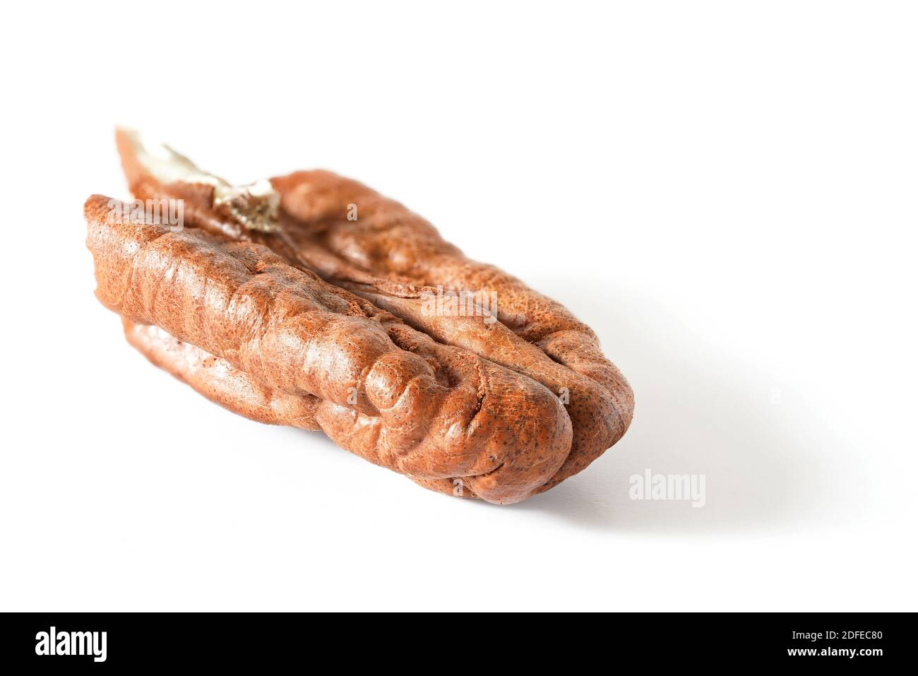 Pecan nut kernel isolated on white background Stock Photo - Alamy