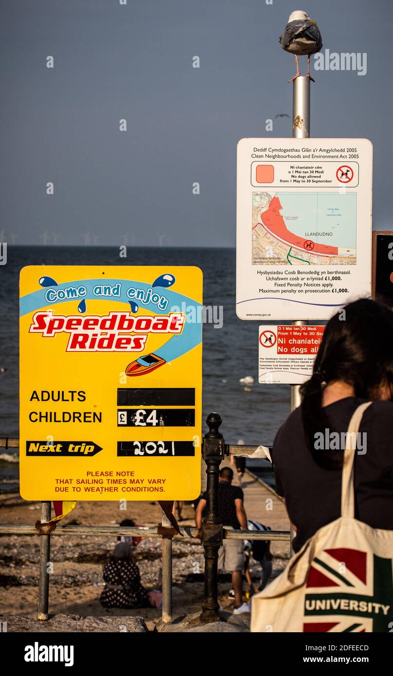 Speedboat ride signs in 2020 light heartedly advising that next trip is ...