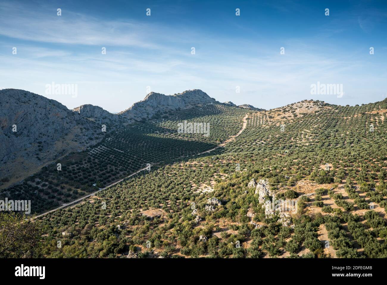 Olive groves hills mountains hi-res stock photography and images - Alamy