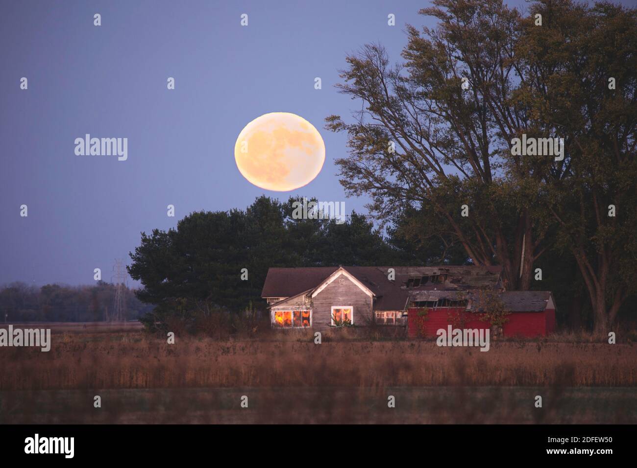 Moon above trees hi-res stock photography and images - Alamy