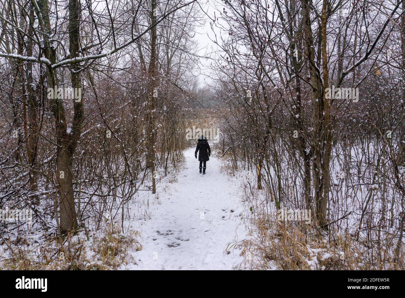 Christmas winter walk woman hi-res stock photography and images - Alamy