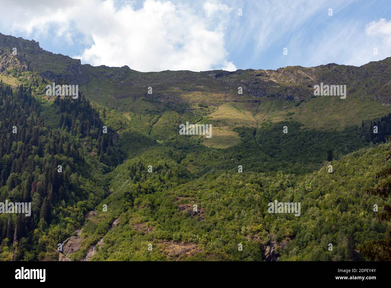 Green slope hi-res stock photography and images - Alamy
