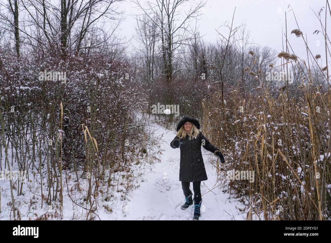 Flying through winter forest hi-res stock photography and images - Alamy