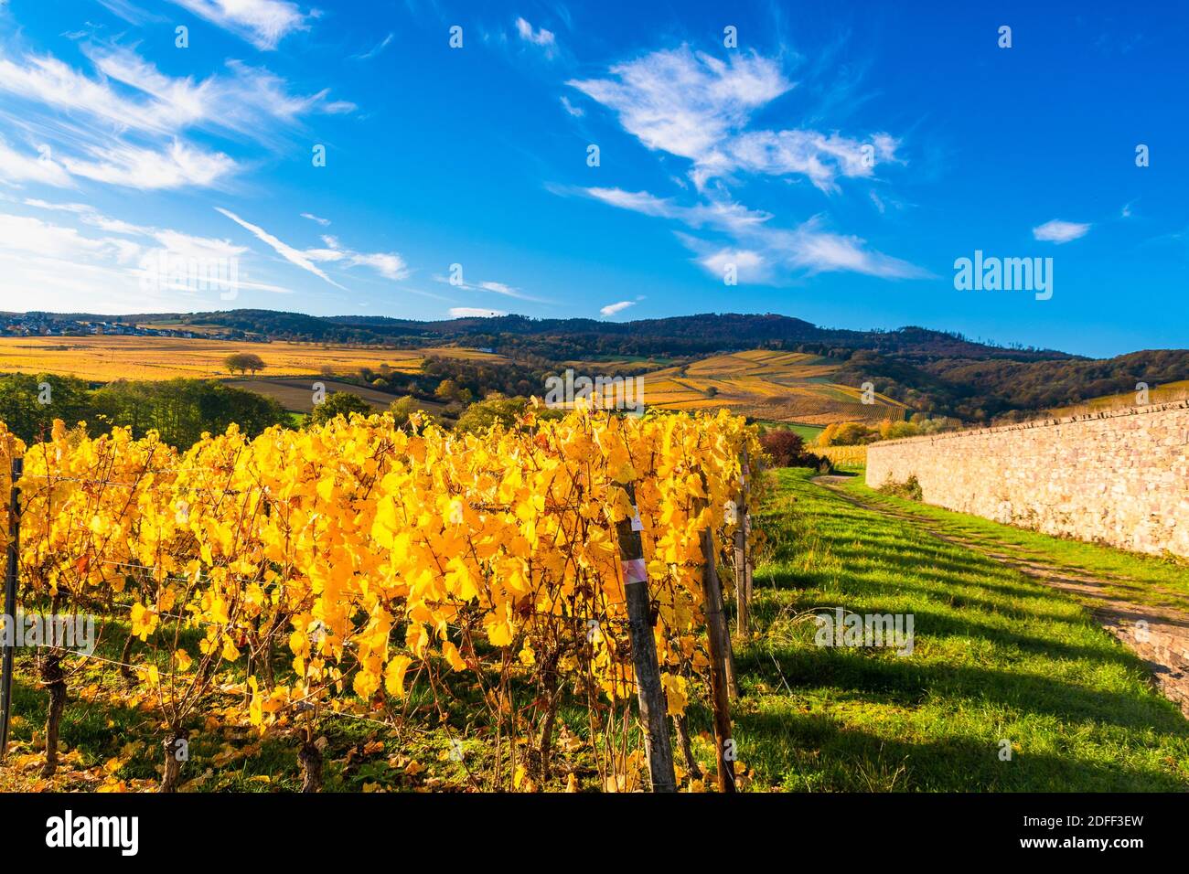 Kloster Eberbach Germany in autumn 2020 Stock Photo - Alamy