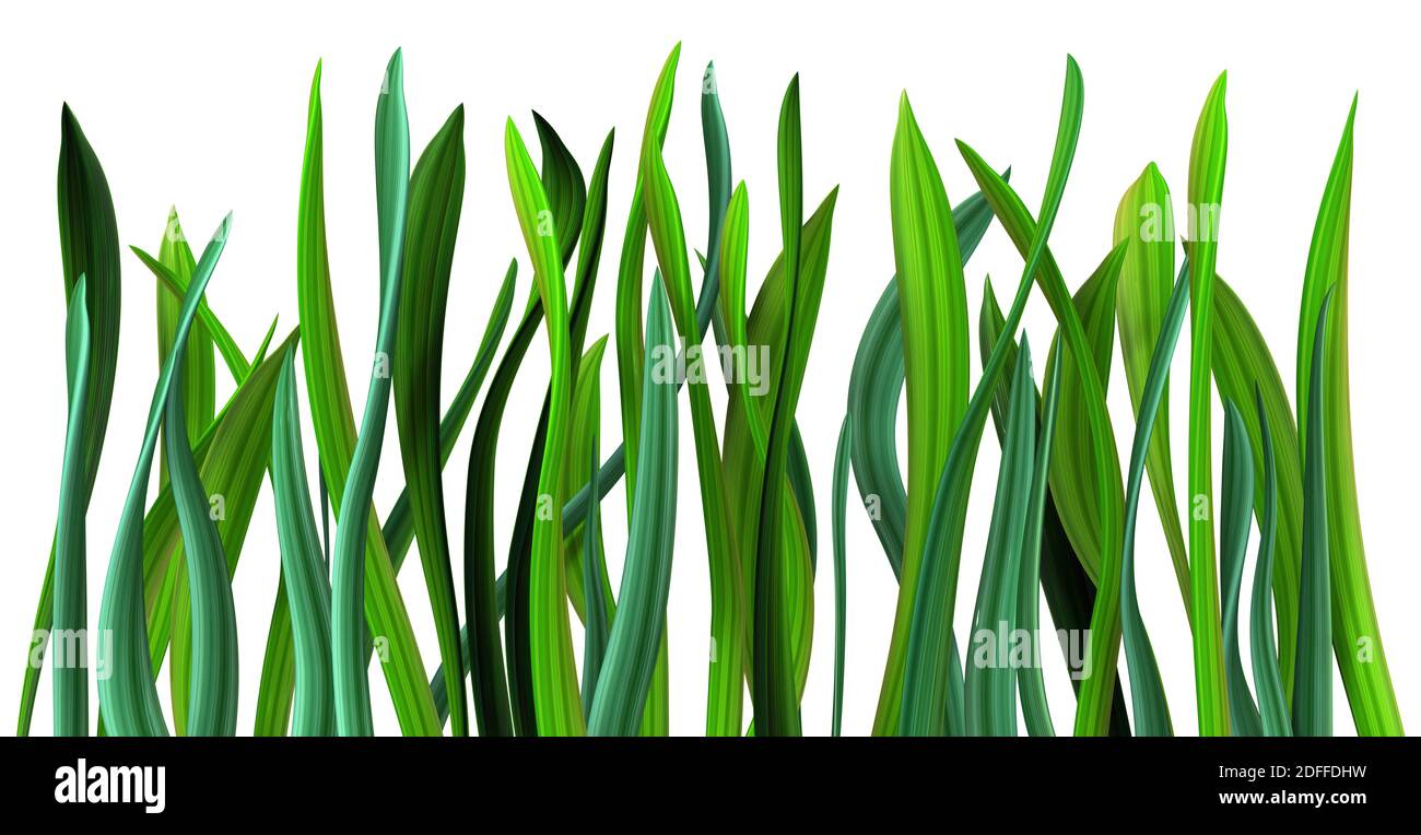 Plant vines green growing twisting grass row, 3d illustration ...