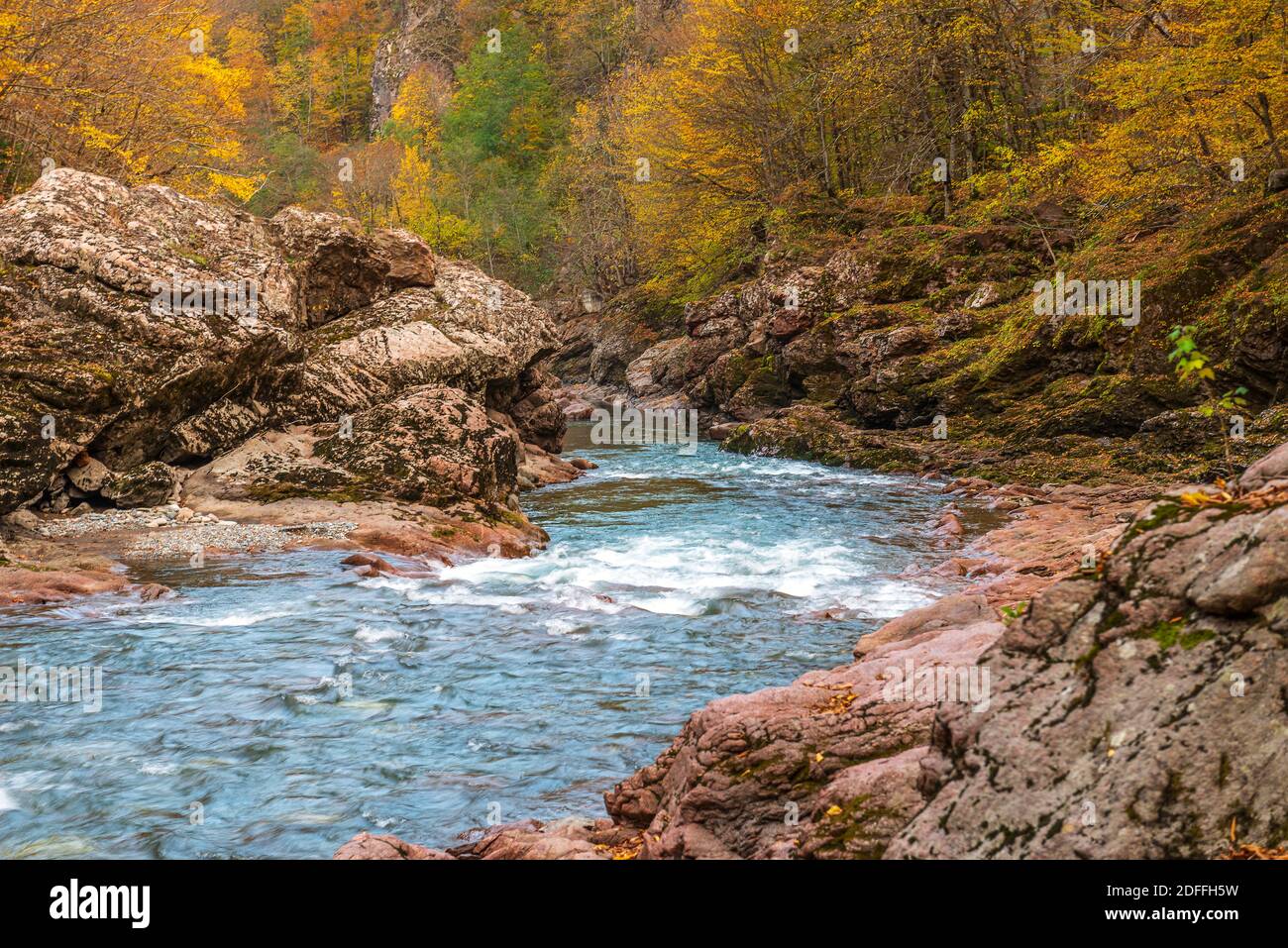Perfection in nature hi-res stock photography and images - Alamy
