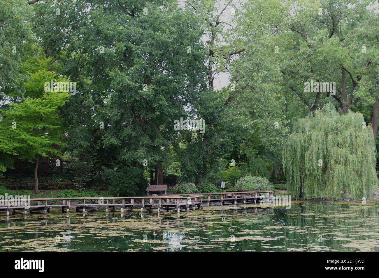 Beautiful Lake Surrounded By Evergreen Trees High Resolution Stock ...