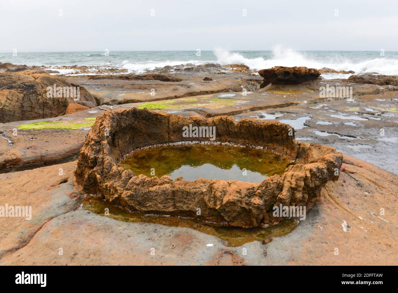 Rock formations on Shag Point beach Stock Photo - Alamy