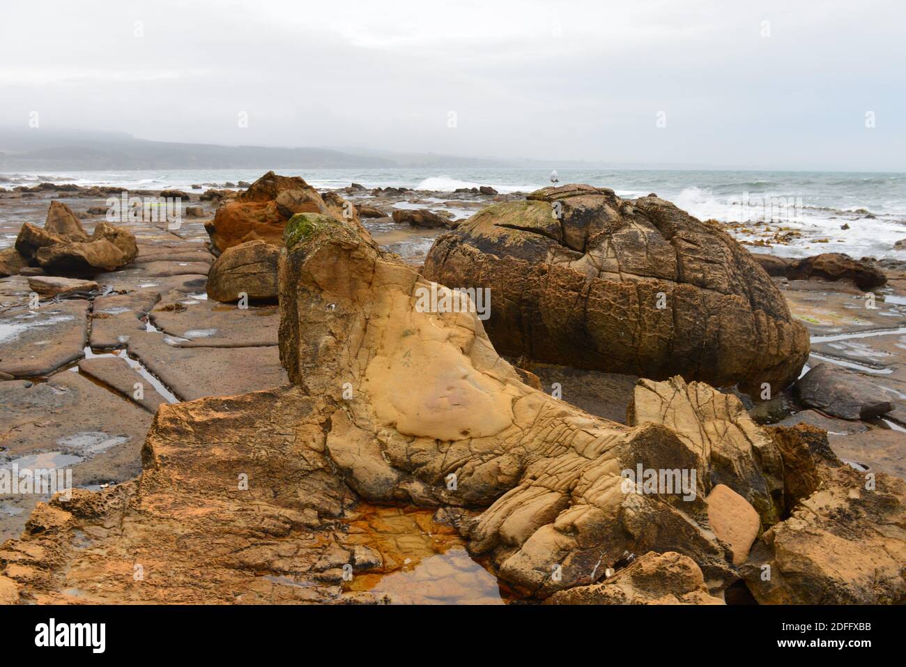 Rock formations on Shag Point beach Stock Photo - Alamy