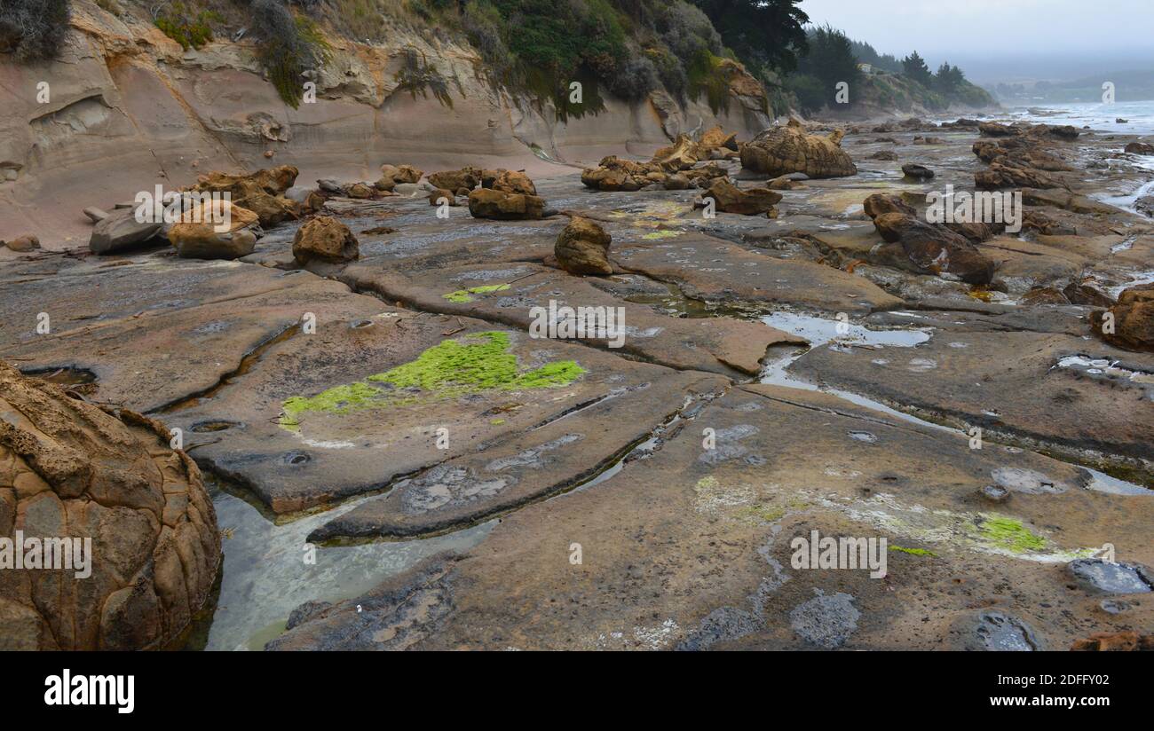 Rock formations on Shag Point beach Stock Photo - Alamy