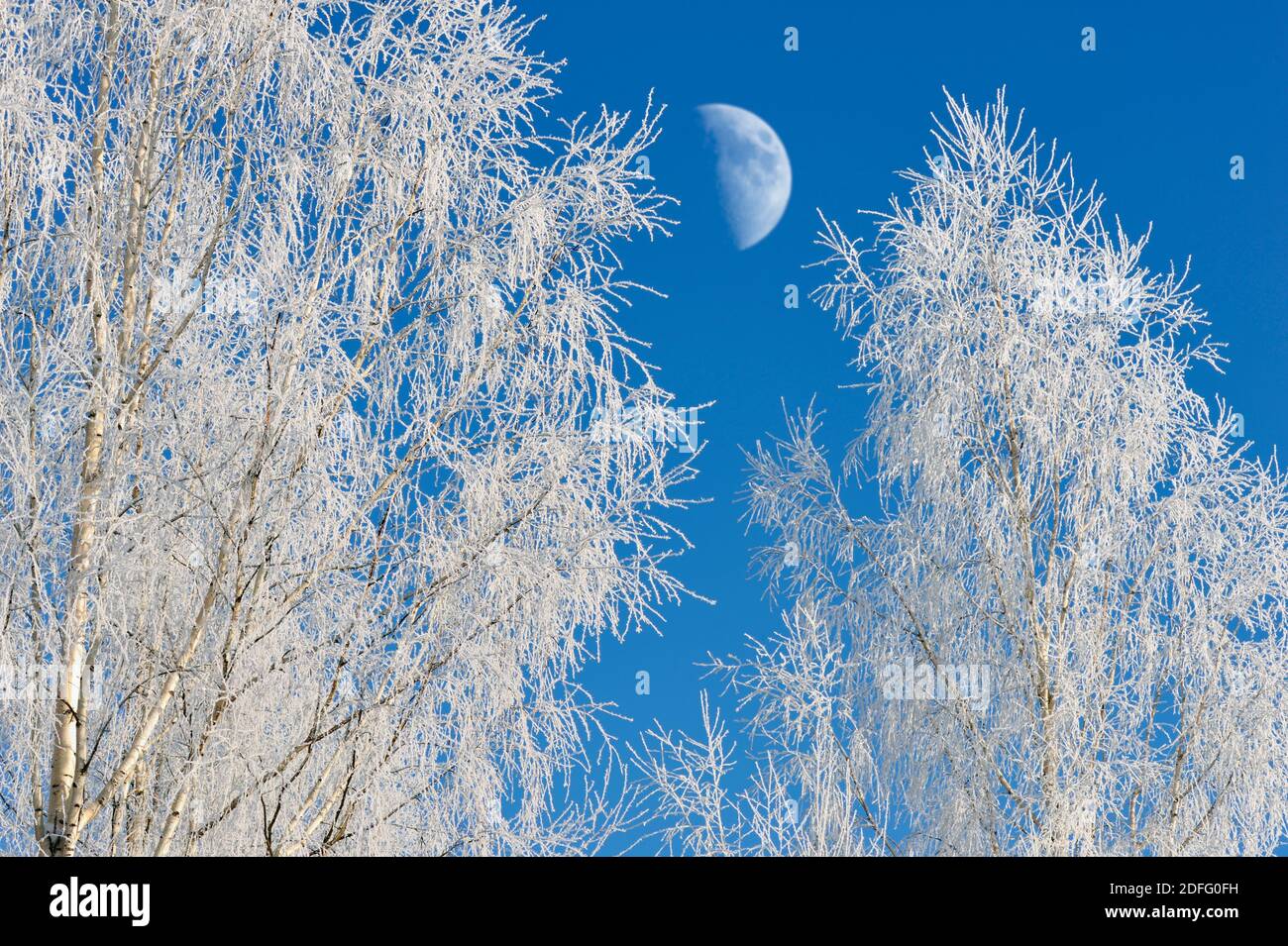 Half moon shape hi-res stock photography and images - Alamy
