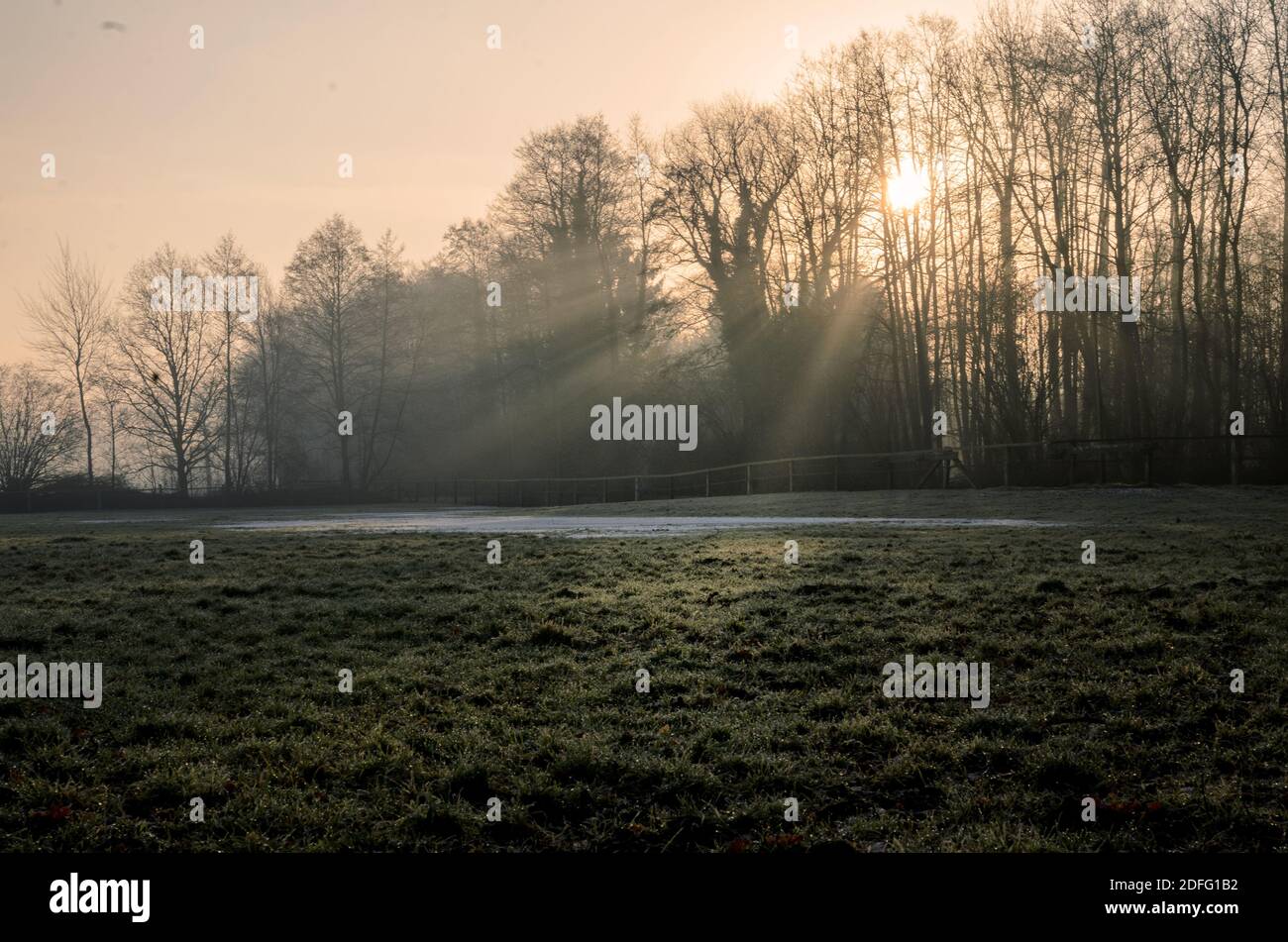 Morning sun rays light falling hi-res stock photography and images - Alamy
