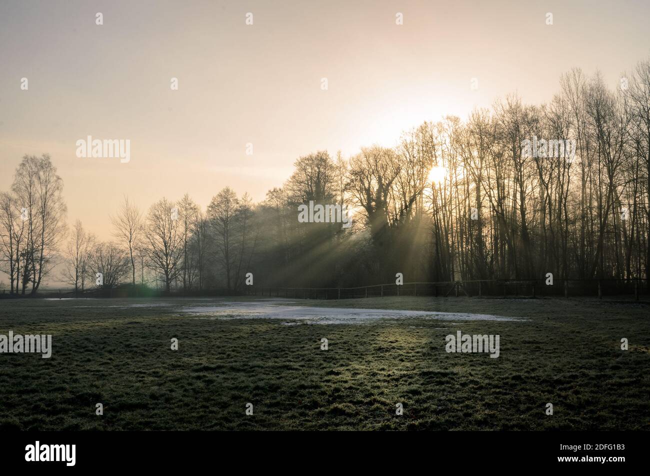 Morning sun rays light falling hi-res stock photography and images - Alamy