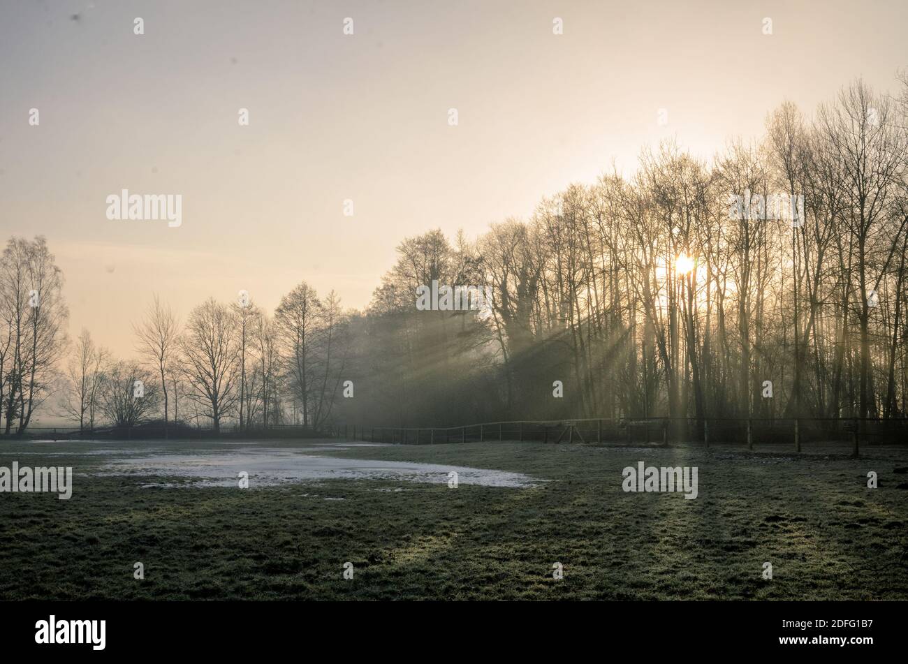 Morning sun rays light falling hi-res stock photography and images - Alamy