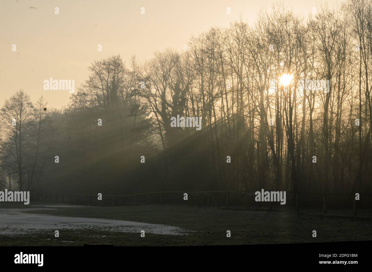 Sun rays falling on last snow on a meadow Stock Photo - Alamy