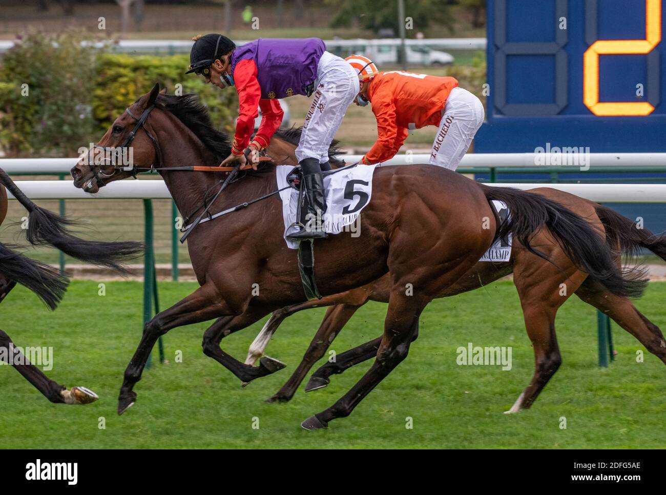 EXCLUSIVE. Queen Elizabeth's horse Award Scheme racing in the Prix de ...