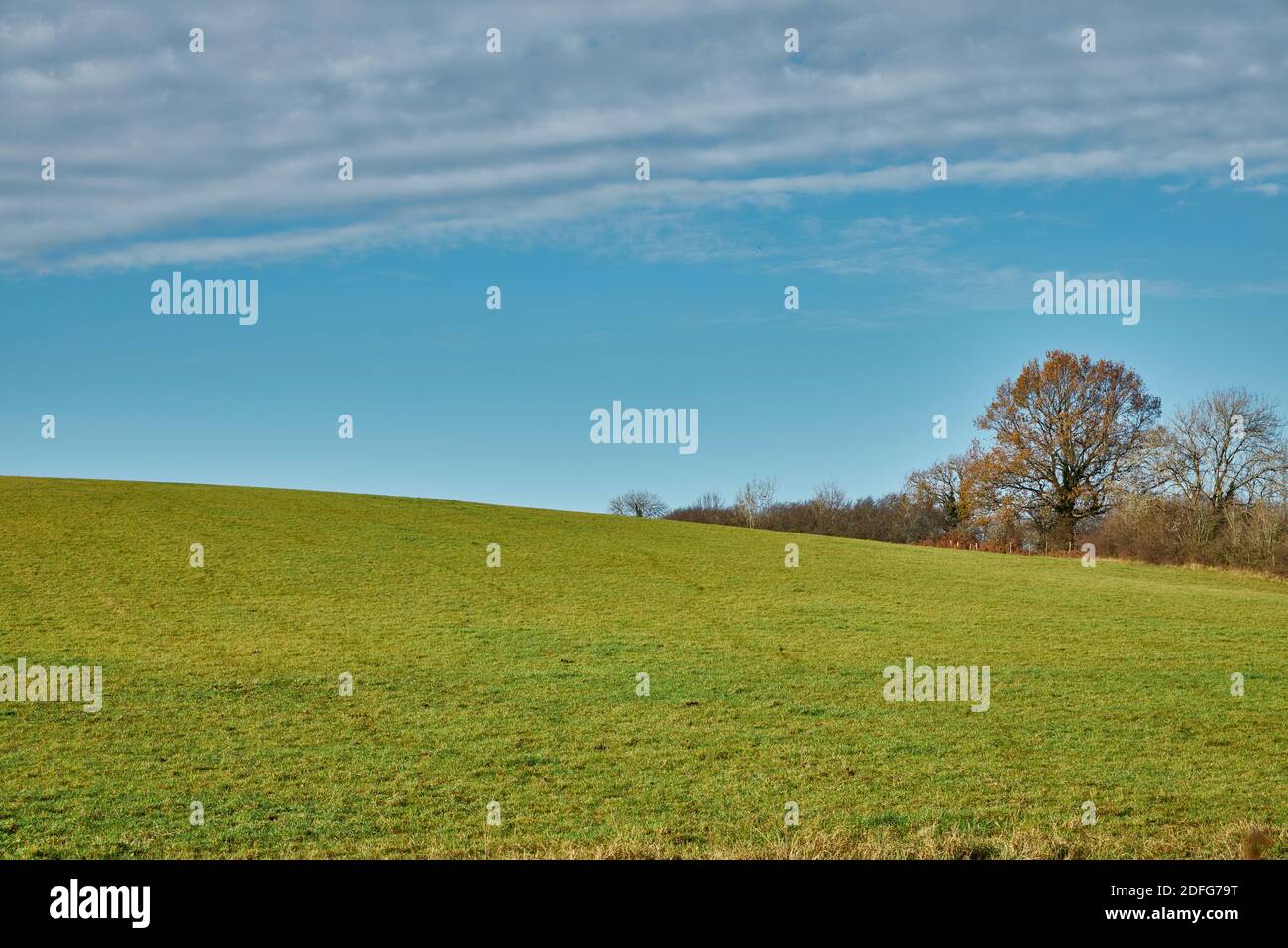 Chilterns landscape designated as Area of National Beauty, England, UK ...