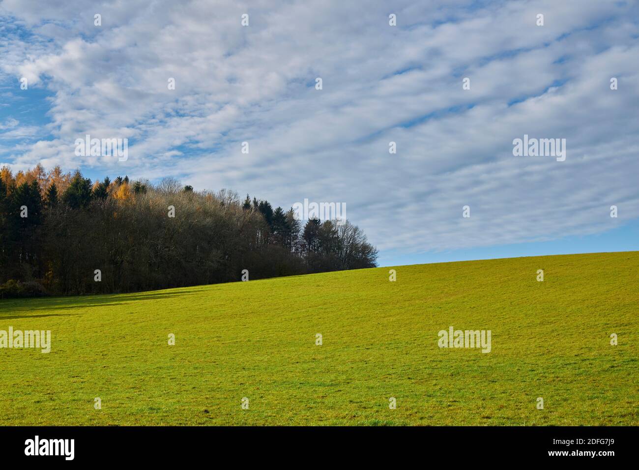 Chilterns landscape designated as Area of National Beauty, England, UK ...