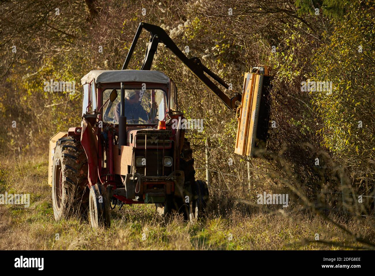 Tractor trimming the trees on the edge of forest and agricultural land ...